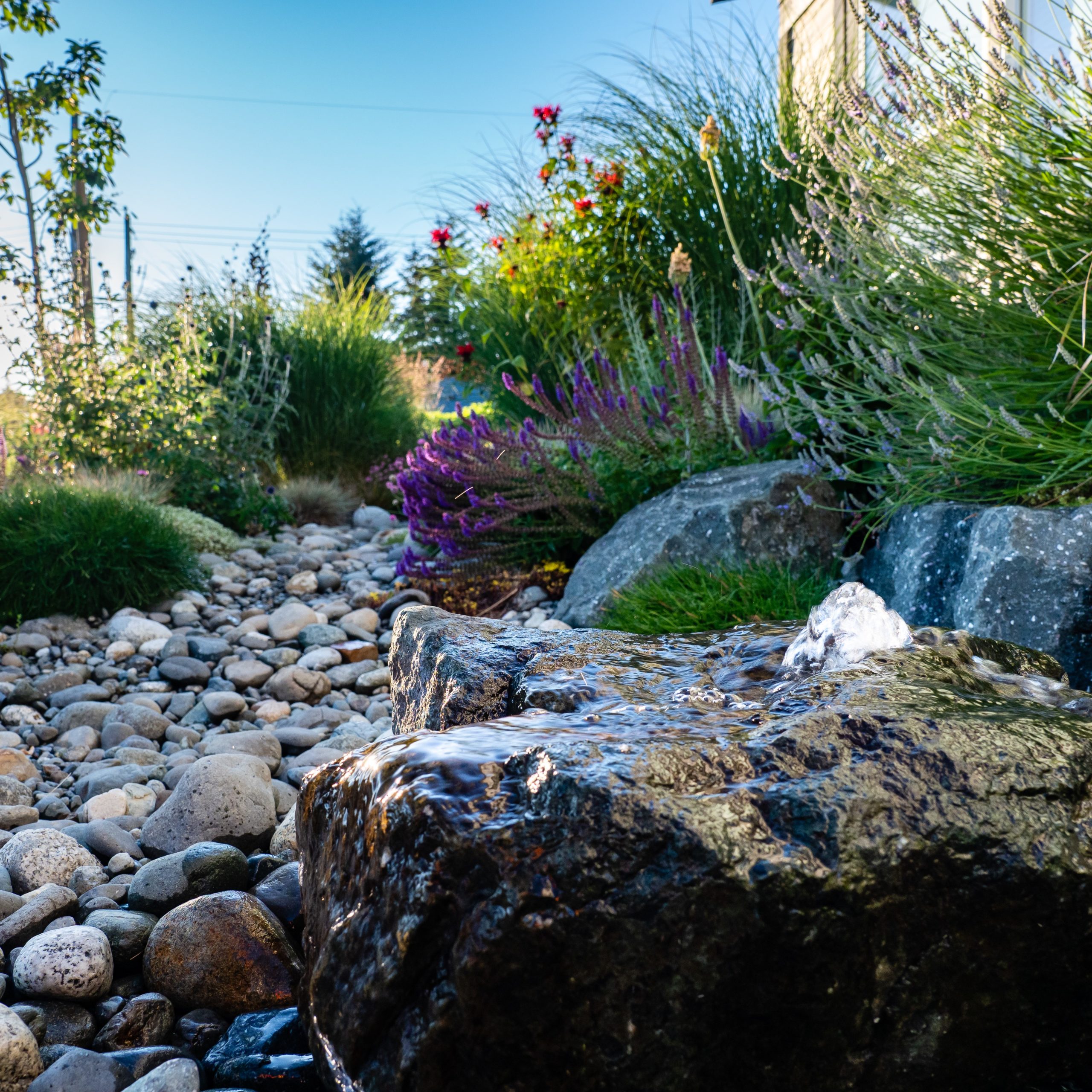 Gabions & Grasses - Arianne Huene Landscape Design