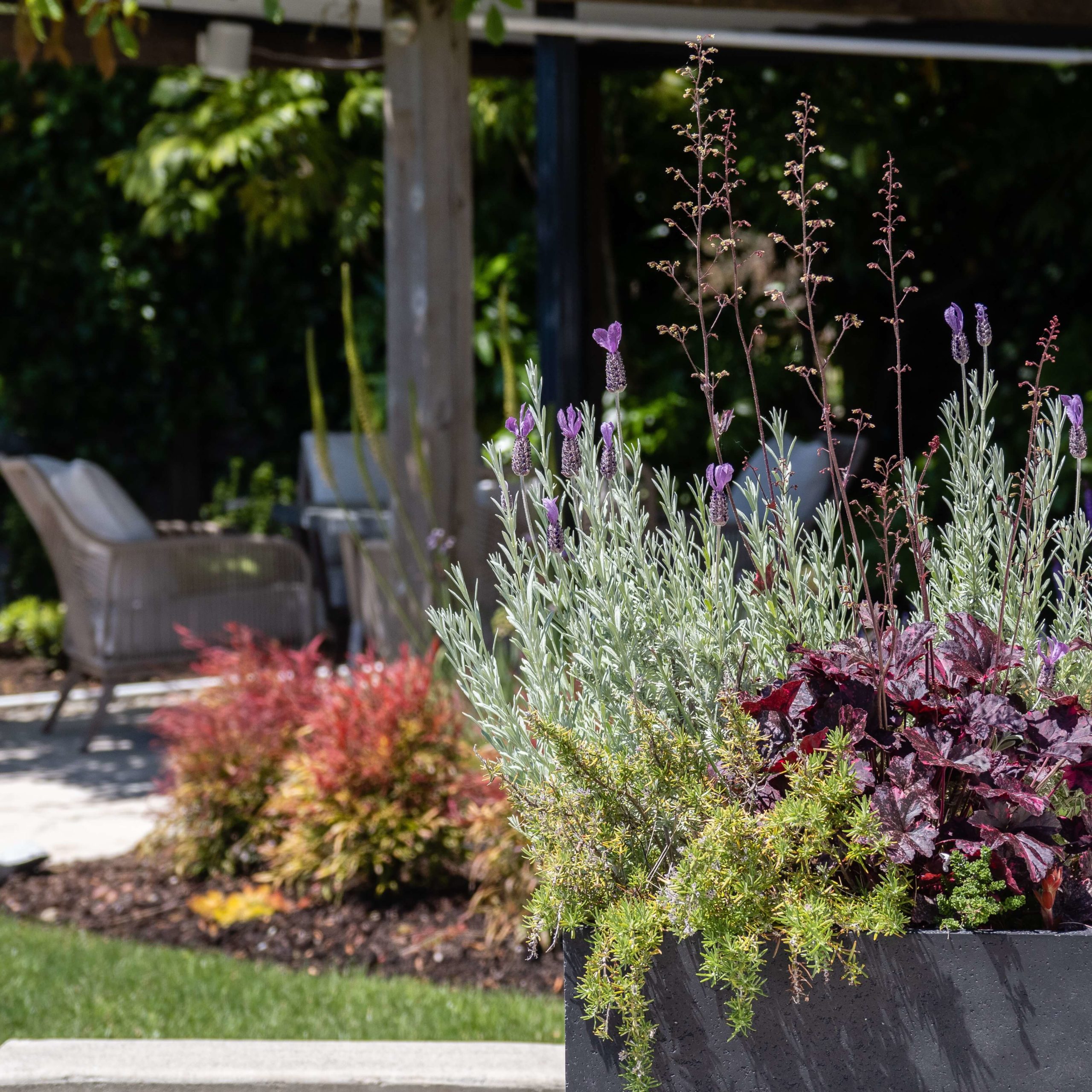 Oceanside - Arianne Huene Landscape Design