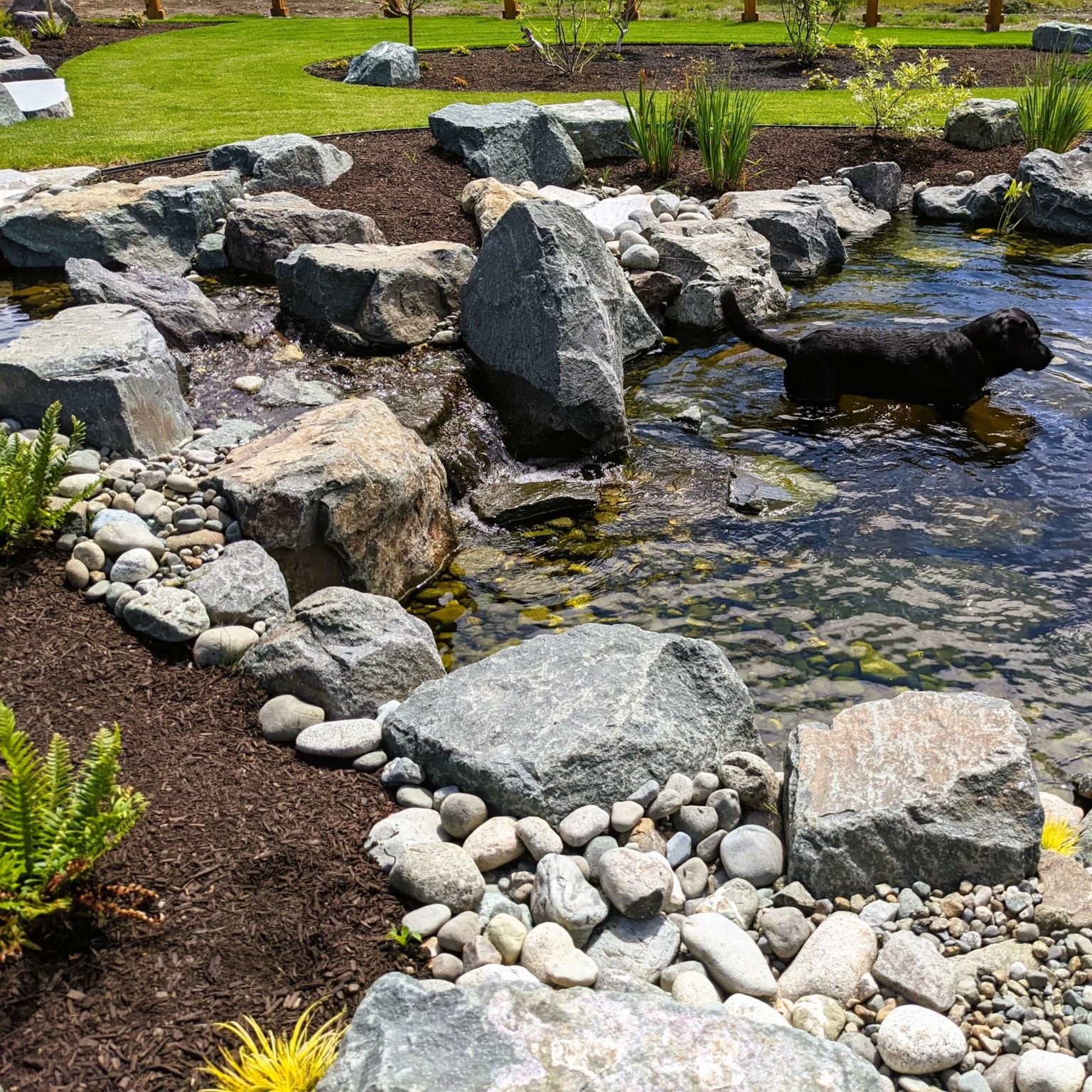 Open Skies - Arianne Huene Landscape Design